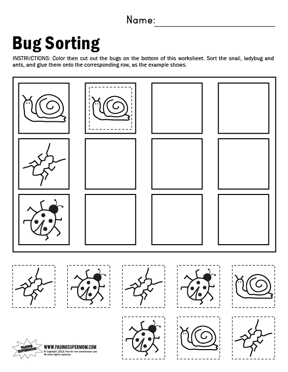 Sorting Worksheets For Kindergarten Printable