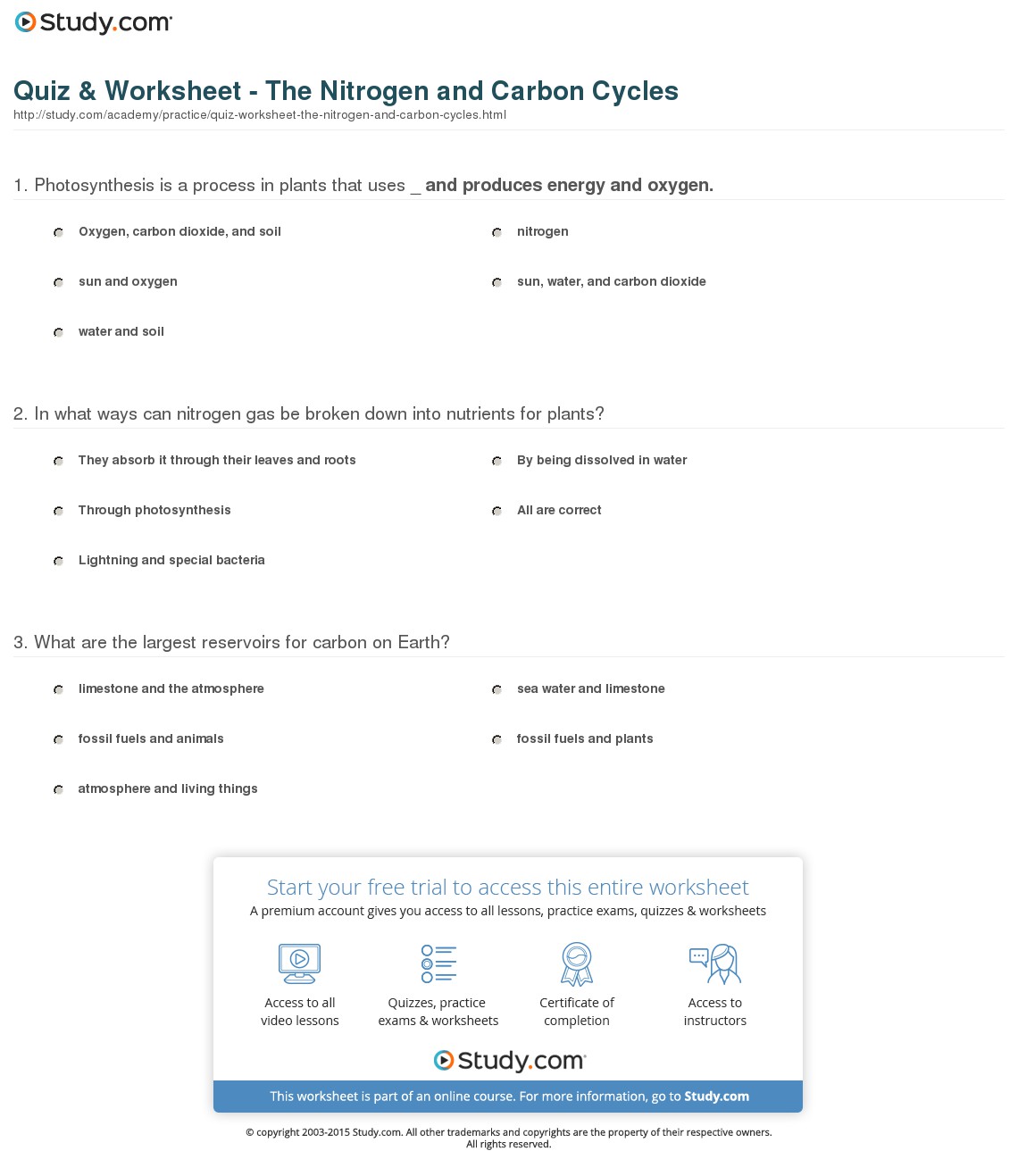 The Nitrogen Cycle Worksheets Answers
