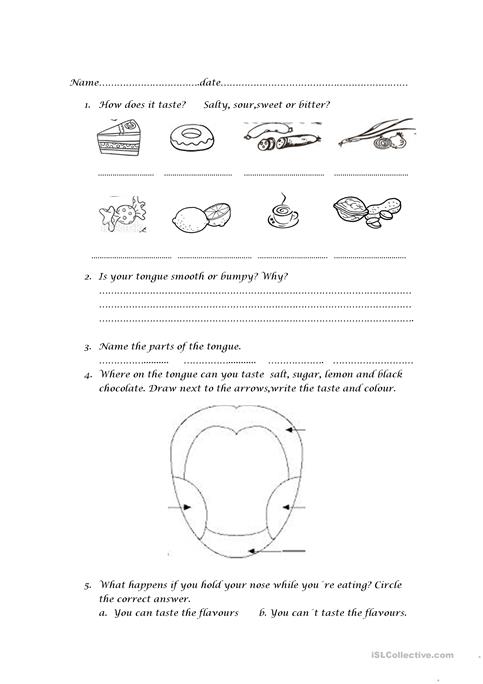 Parts Of The Tongue Worksheets