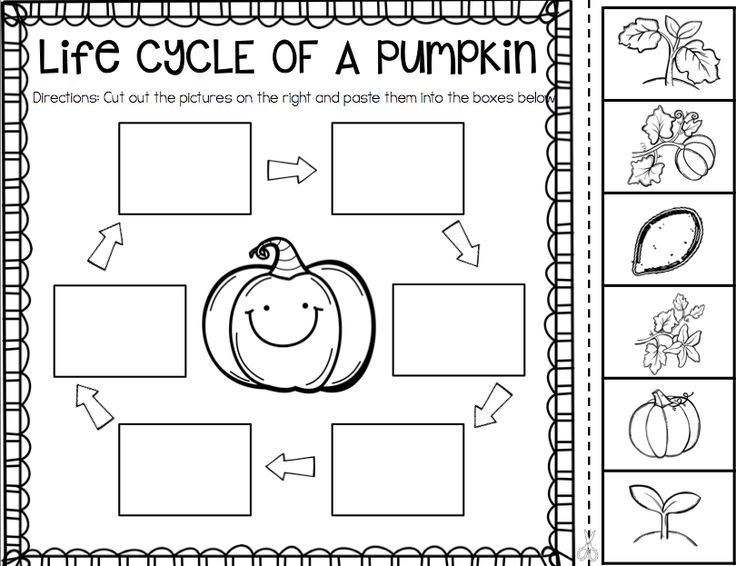 Pumpkin Math Worksheets First Grade