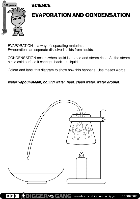 Evaporation And Condensation Worksheets