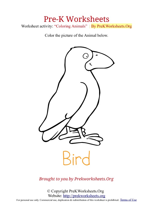 Birds Worksheets For Kindergarten