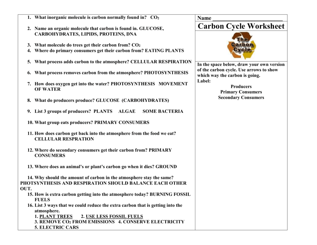 Carbon Cycle Diagram To Label Answers | Free Worksheets Samples