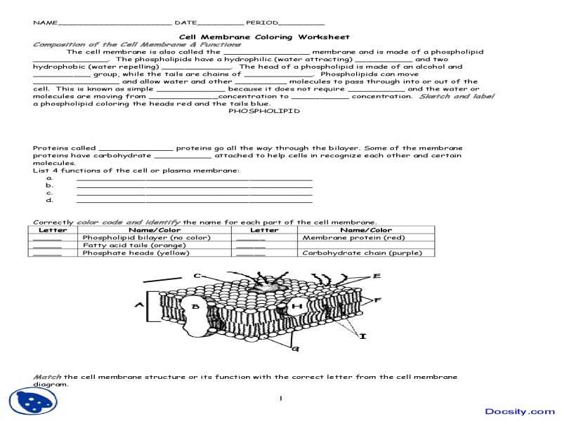Cell Membrane And Tonicity Worksheet Awesome Cell Membrane And | Free ...