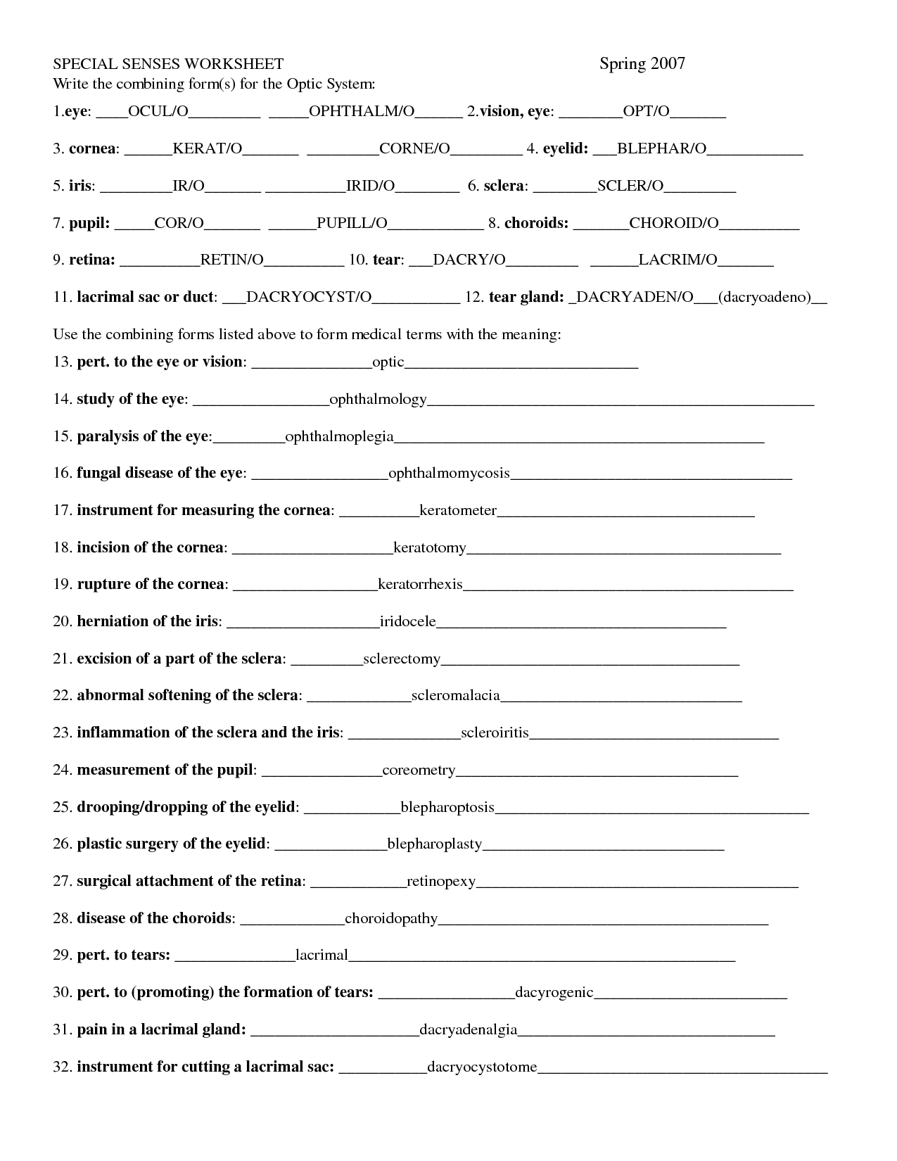 Chapter 8 Special Senses Worksheet Answers | Free Worksheets Samples