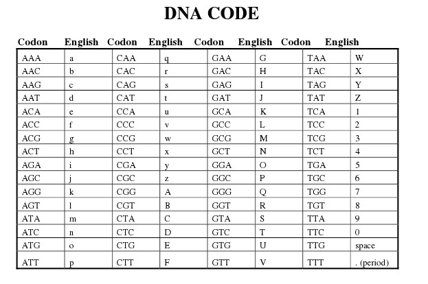 Codon Worksheets Answers