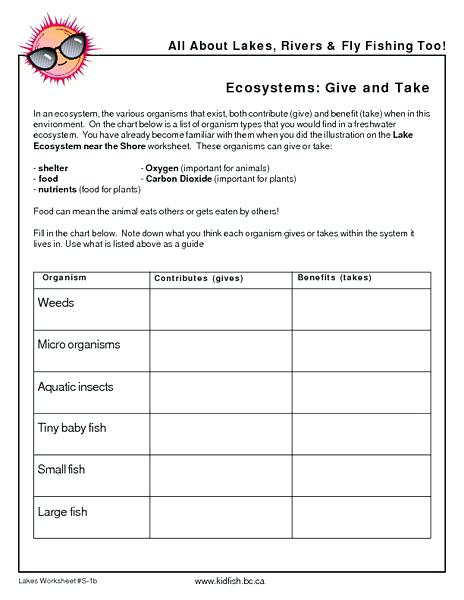 Marine Ecosystems Worksheets