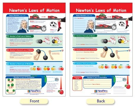 Newton’s Laws Of Motion Worksheets | Free Worksheets Samples