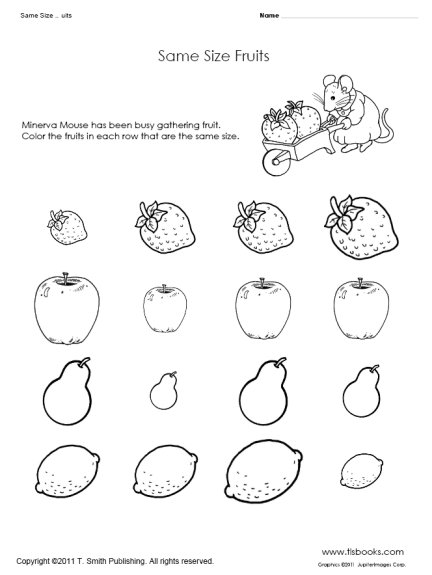 Size Worksheets For Kindergarten