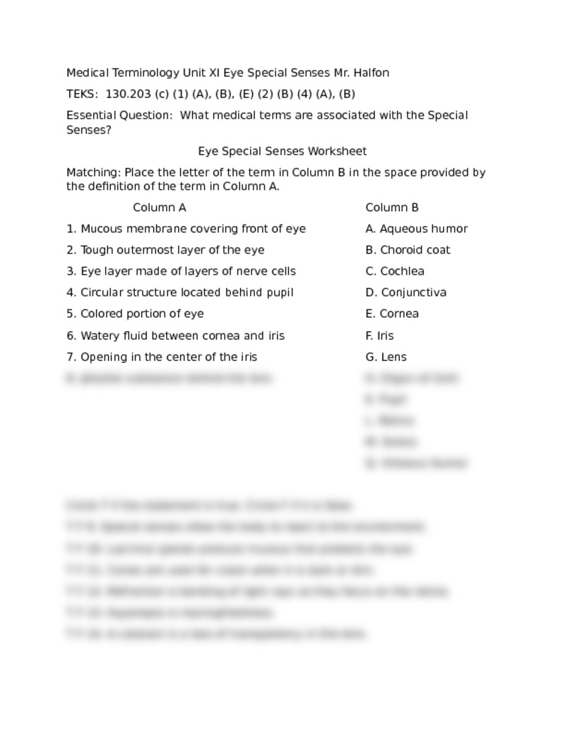 Special Senses Worksheets | Free Worksheets Samples