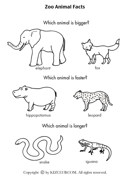 Zoo Animals Worksheets | Free Worksheets Samples