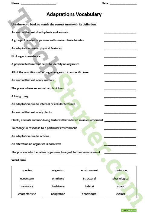 Plant Adaptation Worksheets