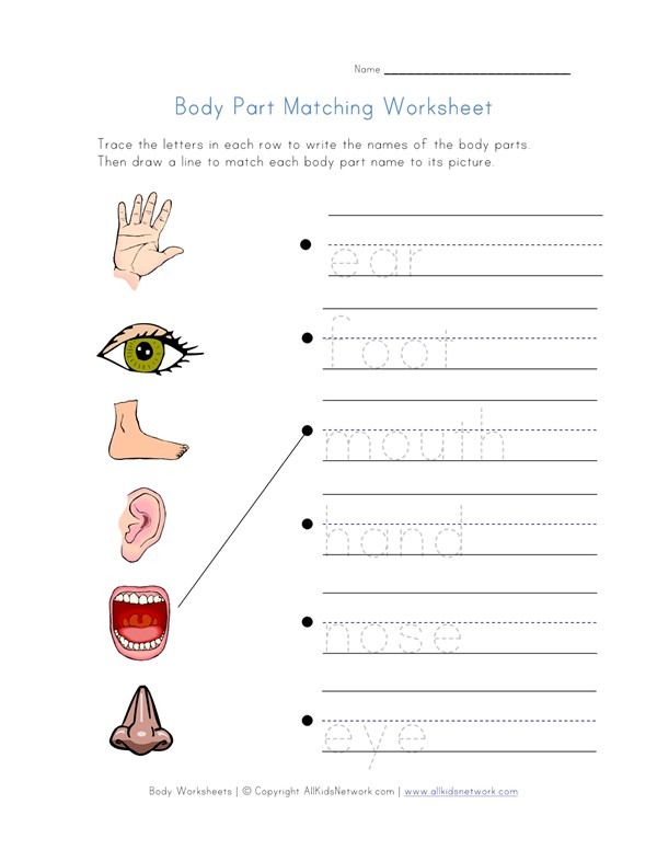 Body Matching Worksheet | Free Worksheets Samples