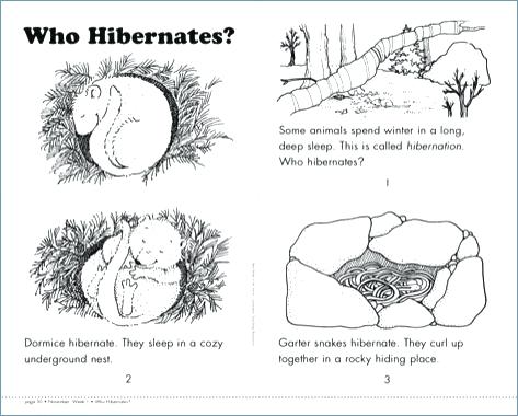 Hibernation Worksheets For Kindergarten