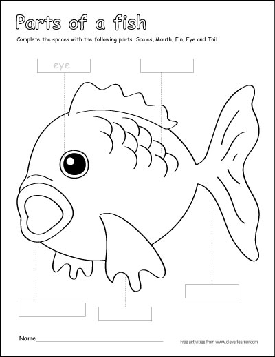 Label And Color The Parts Of A Fish | Free Worksheets Samples