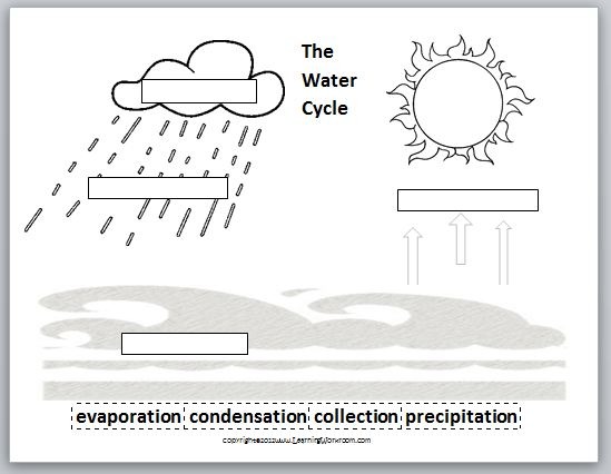 4th Grade Water Cycle Worksheets