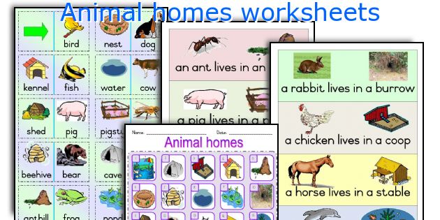 Animal Shelter Worksheets
