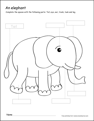Colour The Parts Of The Elephant | Free Worksheets Samples