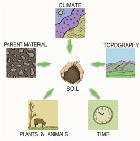 Soil Formation Worksheets