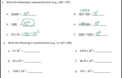 Simplest Form Worksheets 5th Grade