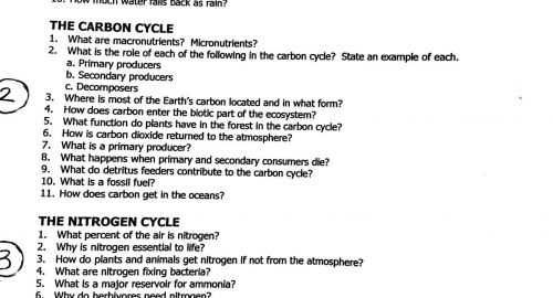 Nitrogen Cycle Worksheets With Answers