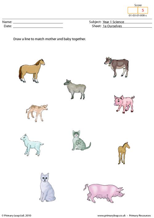 Mother And Baby (animals) | Free Worksheets Samples