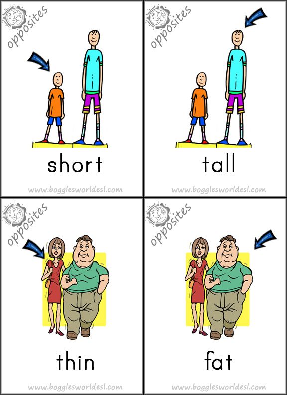 Opposites Short, Tall, Thin, Fat | Free Worksheets Samples