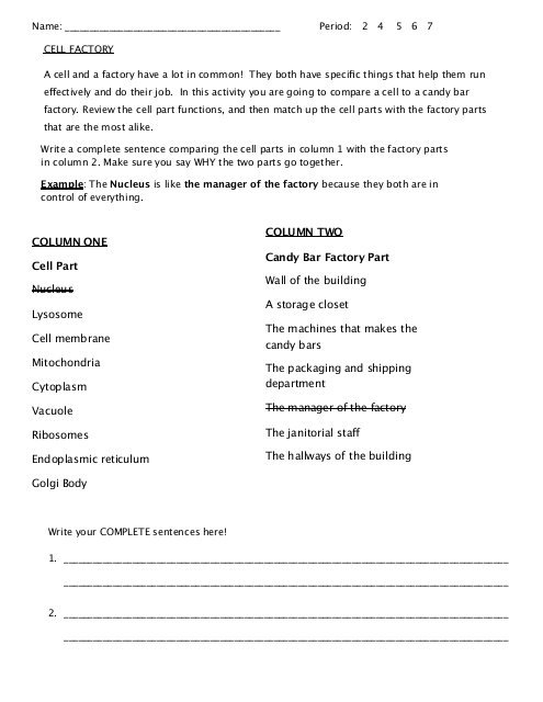 Cell Factory Worksheet | Free Worksheets Samples