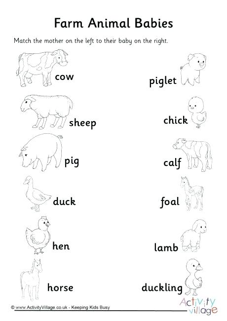 Animal Baby Names Worksheets