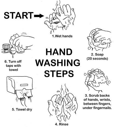 Hand Washing Worksheets