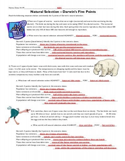 Natural Selection Worksheet | Free Worksheets Samples