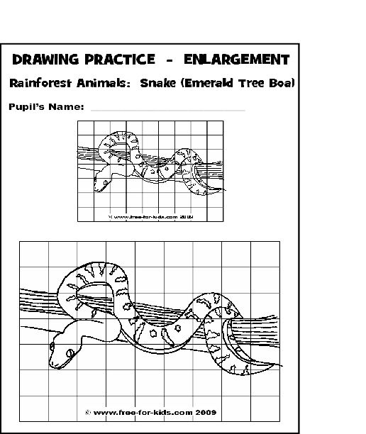 Grid Drawing Worksheets Printables