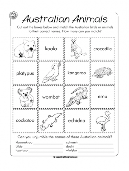 Australian Animals Worksheets