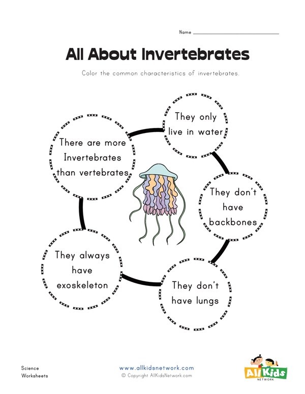 All About Invertebrates Worksheet | Free Worksheets Samples