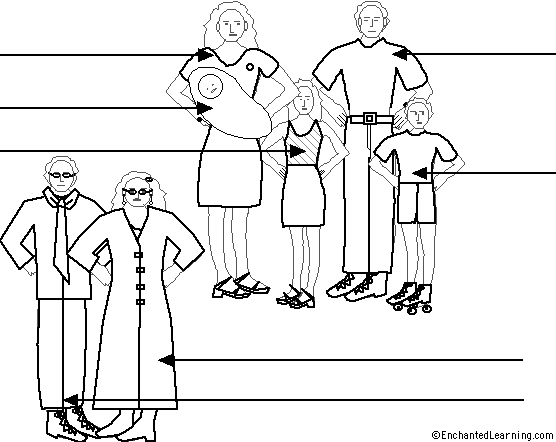 Label Family Members Worksheets