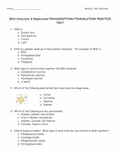 Transcription And Translation Practice Worksheets Answers