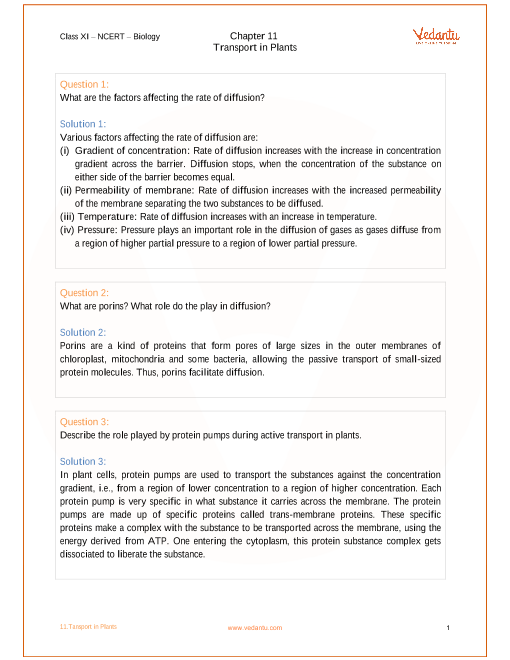 Transport In Plants Worksheets And Answers