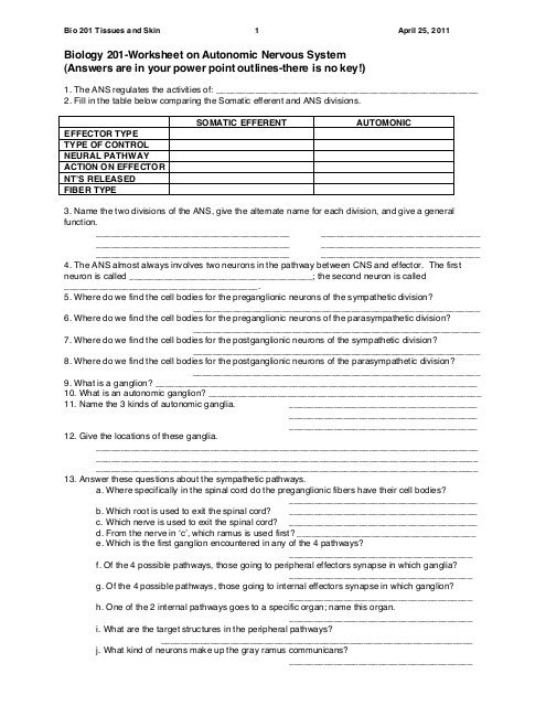 Nervous Tissue Worksheets