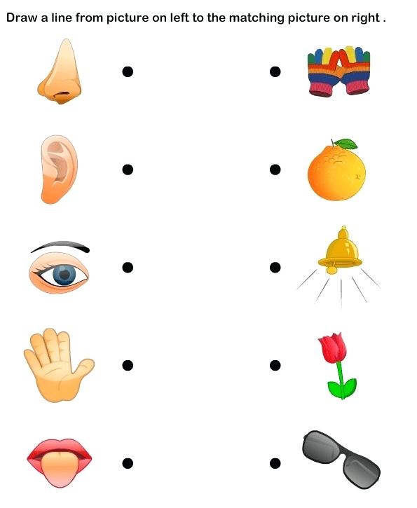 Worksheets On Body Parts For Preschool