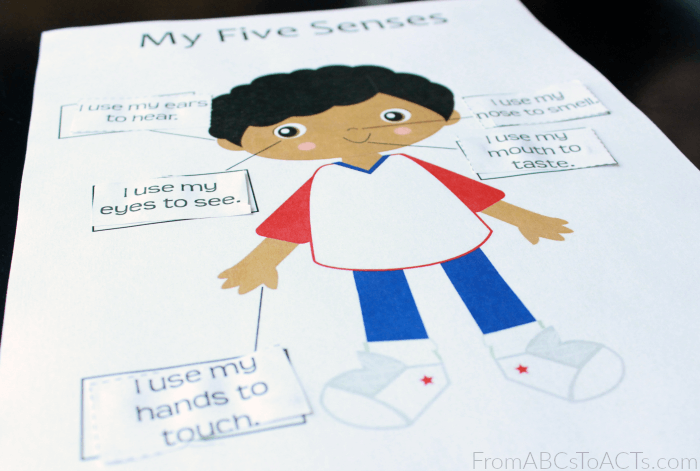 My Five Senses Cut And Paste Activity For Preschoolers | Free ...