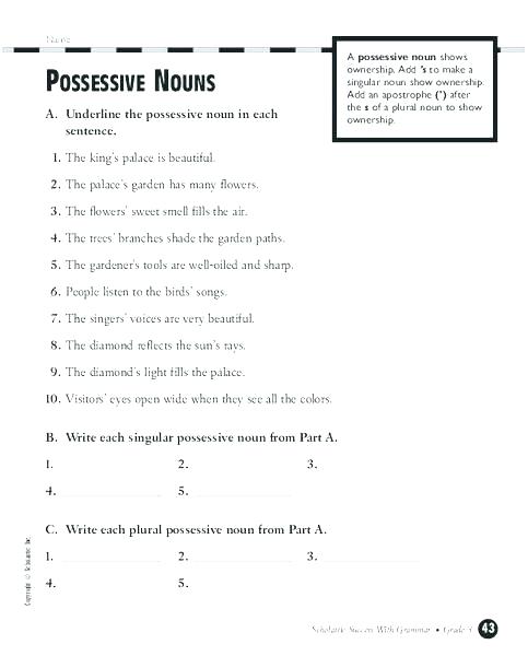 Singular And Plural Nouns Worksheets 5th Grade