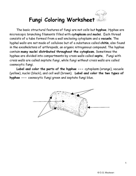 Stylist Design Fungi Coloring Worksheet Worksheets For All | Free ...