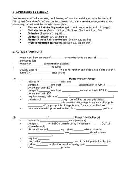 Passive And Active Transport Worksheets 6 Answers