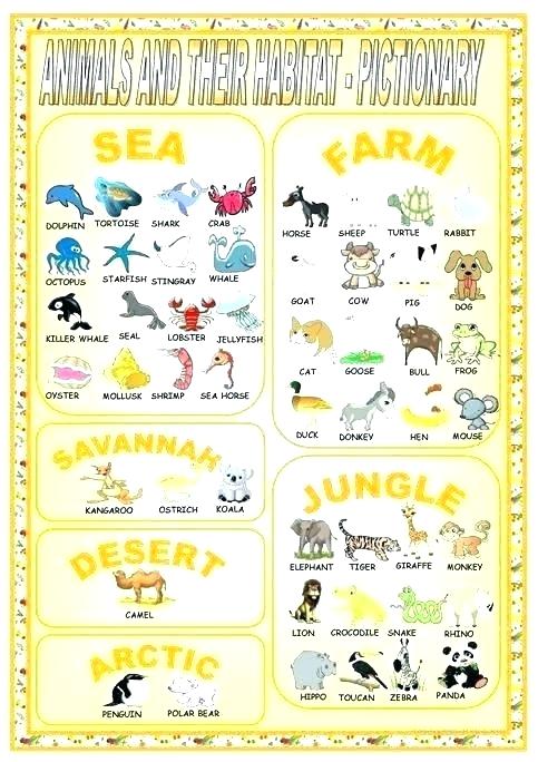 Animals And Their Habitat Worksheet Free Printable Animal Habitats ...