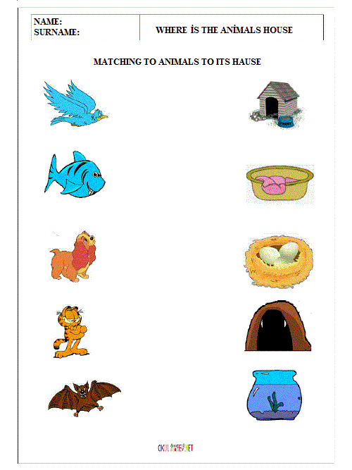 Animals And Their Homes Worksheets For Kindergarten
