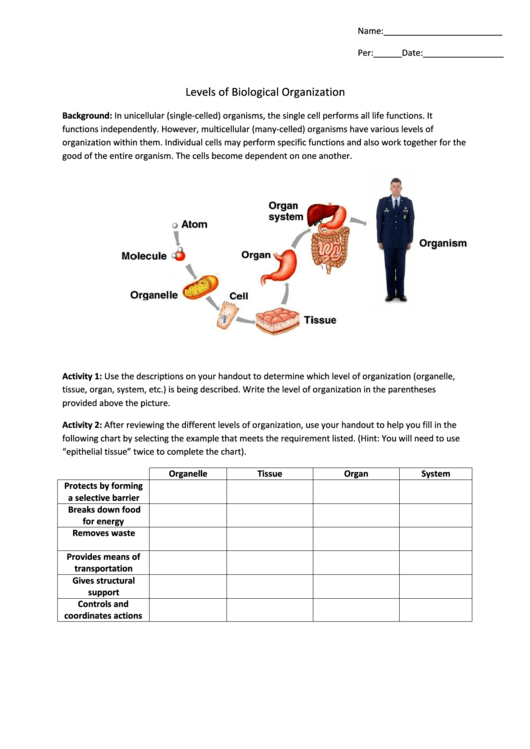 Biological Levels Of Organization Worksheets