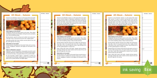 Autumn Differentiated Reading Comprehension Worksheet Worksheet Pack ...